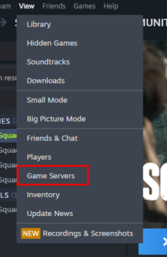 Connect to a DayZ PC Server | NITRADO